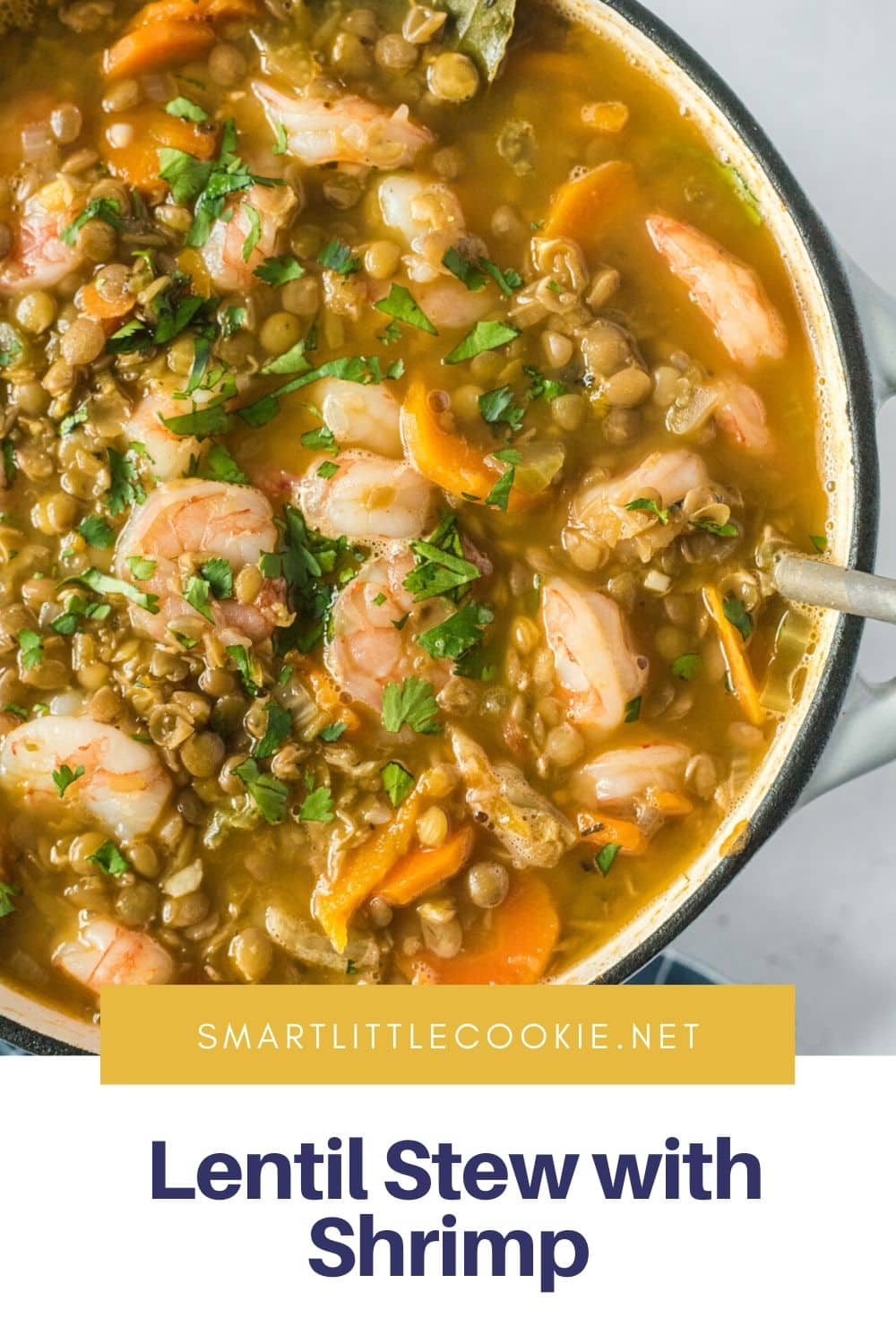Lentil Stew Recipe with Shrimp - My Dominican Kitchen