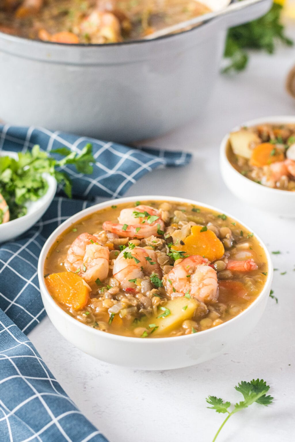 Lentil Stew Recipe with Shrimp - My Dominican Kitchen